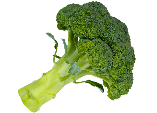 Spec Sheets | Duda Farm Fresh Foods